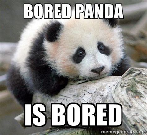 Funny Memes Bored Panda