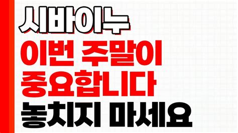 시바이누 이번 주말이 중요합니다고래 매집량 심상치 않습니다 하락장은 오히려 기회 Youtube