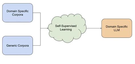 Unleashing The Potential Of Domain Specific Llms