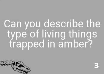 More About Fossils By Teacher Grace Teachers Pay Teachers