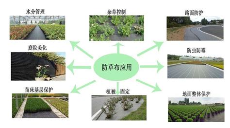 Factory Direct Anti Aging Grass Cloth Ground Protective Film Zheng
