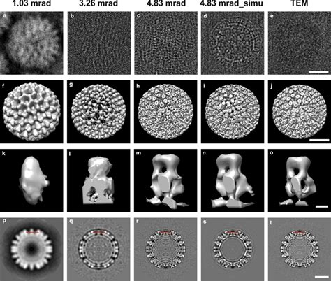 3D Rotavirus DLPs Reconstructions Using Cryo EPty SPA For Various CSAs