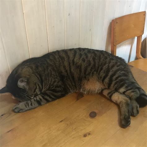 短所は長所の裏返しではなく 暮らしと心を整える