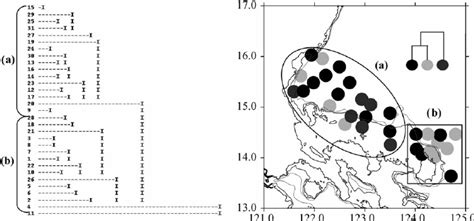 Dendrogram Of Chaetognath Station Clusters Based On Results Of Cluster