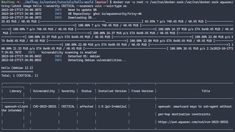 Include OS Release And Package Metadata In Docker Images When Using