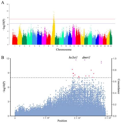 Genome Insights And Identification Of Sex Determination Region And Sex