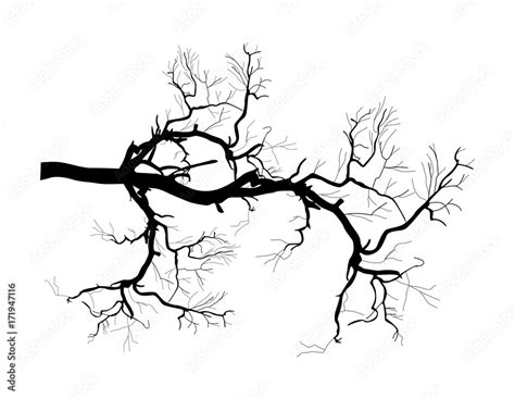 Tree Branch Silhouette Vector Clip Art Illustration Stock Vector Adobe Stock