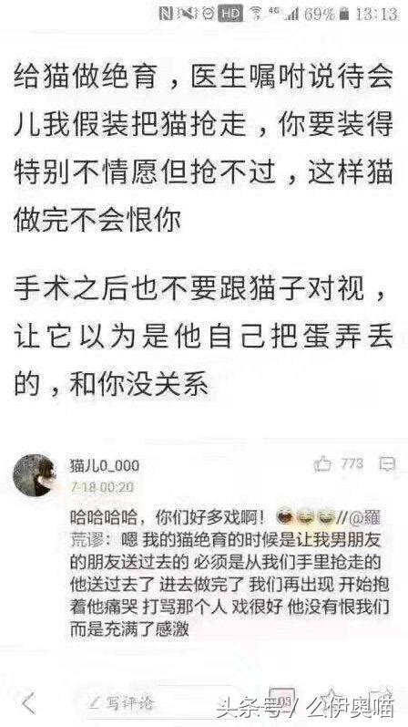 關於貓咪絕育，對不起，雖然疼，可是我想笑。。。 每日頭條