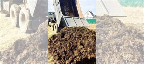 Навоз коровий с доставкой купить в Курске Товары для дома и дачи Авито