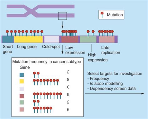 Full Article Using Large Scale Genomics Data To Identify Driver Mutations In Lung Cancer