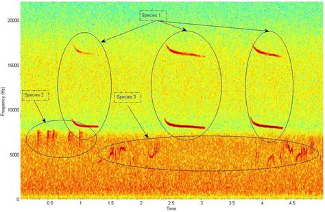 Spectrogram Corresponding To A Recording With 3 Partially Overlapping