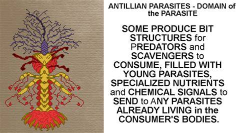 Some Produce Bit Structures For Predators And Scavengers To Consume