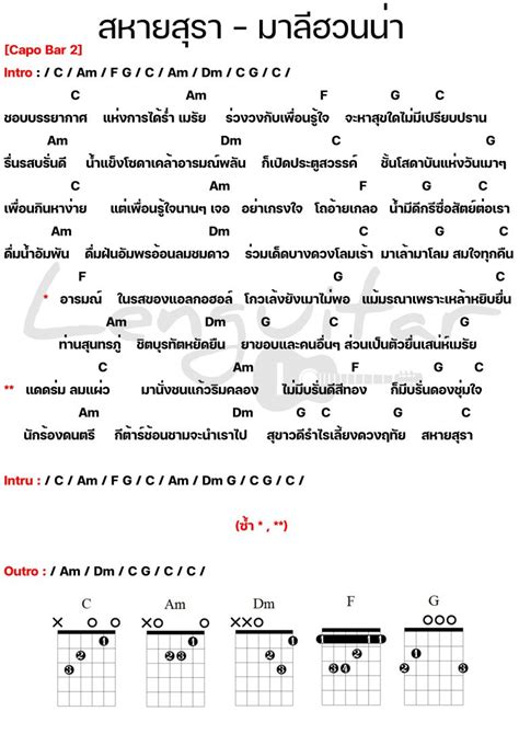 คอร์ดเพลง สหายสุรา มาลีฮวนน่า คอร์ดเพลงง่ายๆ Lenguitar