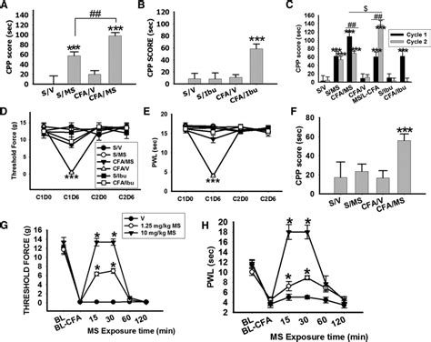 Morphine Cpp Is Enhanced In Rats With Monoarthritis A Cpp Score Was