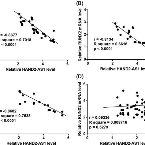 Runt‐related Transcription Factor 2 Mrna Expression Was Upregulated In Download Scientific