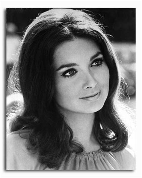 Ss2180971 Filmbild Von Suzanne Pleshette Kaufen Sie Fotos Und Poster