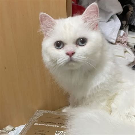 陳姿琍 Chen 726 • Threads Say More