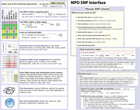 Mpd Snp Interface Tools For Retrieval And Filtering Snps Snps May Be