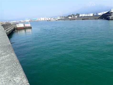 富士サーフ田子の浦港の釣り場ポイント徹底解説 まるなか大衆鮮魚