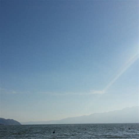 Weiwei Wang Jiangnan University Wuxi School Of Medicine And