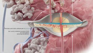 Understanding Your CPT Pap Smear Code Guide