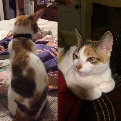 Untitled Robin Berry Flickr