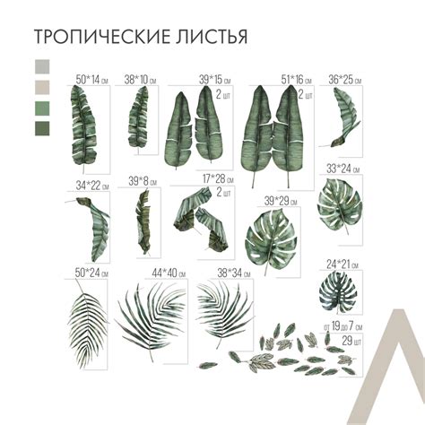 Банановые листья XL