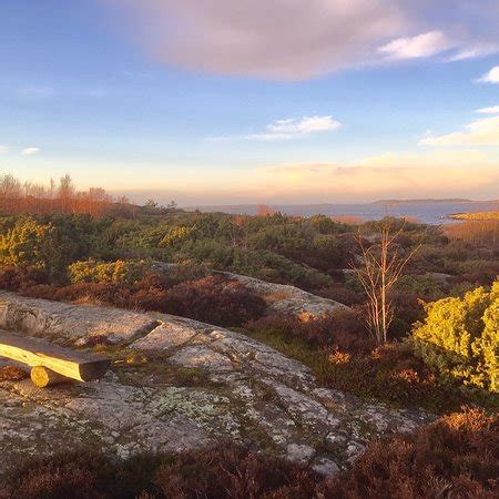 Vallda Fotos - Besondere Vallda, Halland Bilder - Tripadvisor