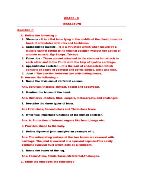 07112024091547skeleton Subjective Answer Key 1 Pdf Pelvis