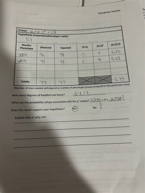 Solved Can Someone Explain If The Probability Values Chegg