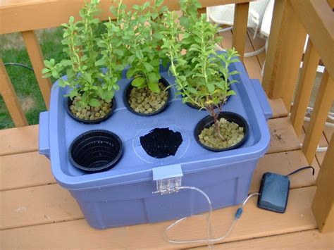 Top Trend An Introduction To Hydroponics 5 Hydroponic Growing Methods