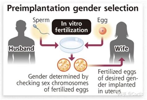 性别选择的科学真相生儿还是生女 知乎