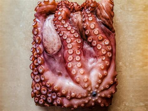 An Extract From The Vegetarian By Han Kang Translated By Deborah Smith