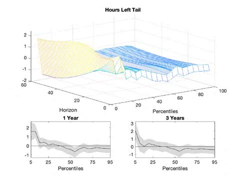 Figure D 6 3d Impulse Response Of Hours Worked Of The Left Tail Of The