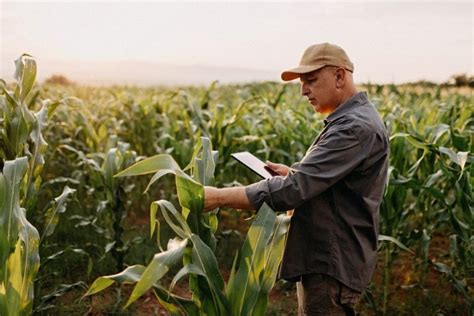 Microsoft Presenta Azure Data Manager For Agriculture Ecomercio Agrario