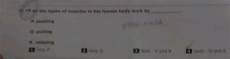 Q All The Types Of Muscles In The Human Studyx