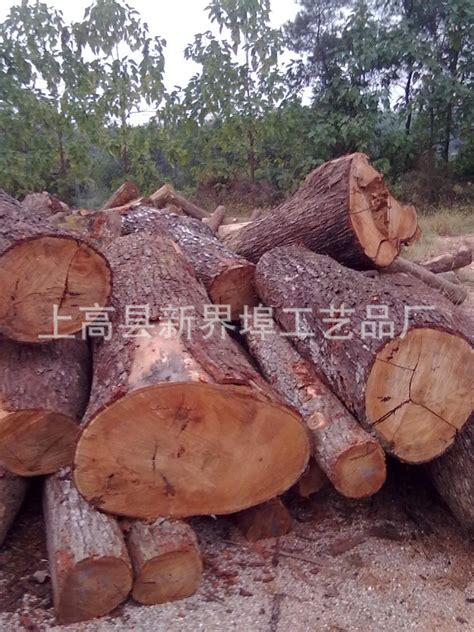 山枣木 摆件 手串 第10页 大山谷图库