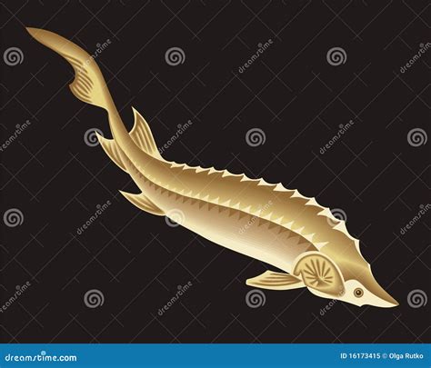 Sturgeon Cartoon Vector 16173415