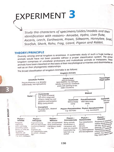Study Of Specimens Slides Animal Pdf
