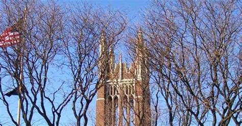 Just Say When Why Reorganize The Academiesenglewood Is A Focus