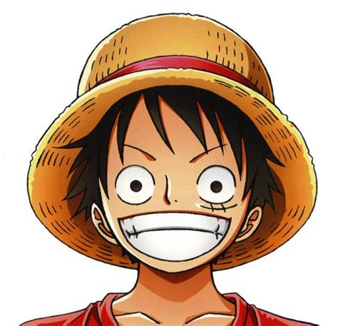 Kennst Du Dich Aus Mit One Piece
