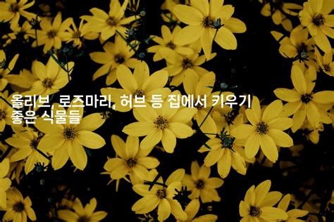 그로슈