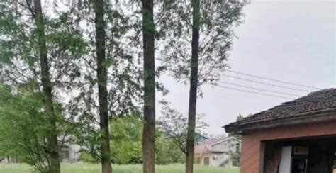 南县中鱼口镇：“线上＋线下”动态监测帮扶 守住防返贫底线腾讯新闻