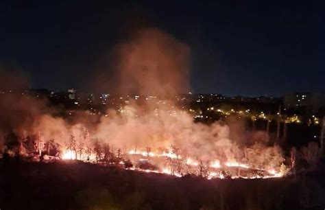 Incendiu Puternic în Parcul IOR Din București Au Ars 4 000 De Metri