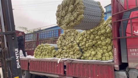 Y型三角立柱铁丝网牛栏网立柱尖头实心支撑杆养殖围羊牛防锈防腐 阿里巴巴