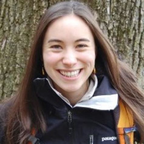 Ariel Kiyomi Daoud Sports Medicine Research Assistant Bachelor Of