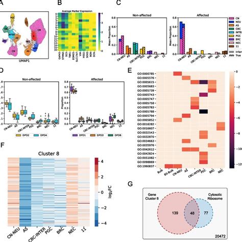 Cell Type Specific Characterization Of Transcriptomic Differences Download Scientific Diagram