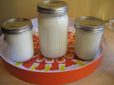 Homemade Creamy Yogurt Afghan Style — Home Afghan Culture Unveiled