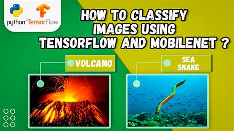 Tensorflow Transfer Learning Classify Images With Mobilenet And Python Eran Feit Medium