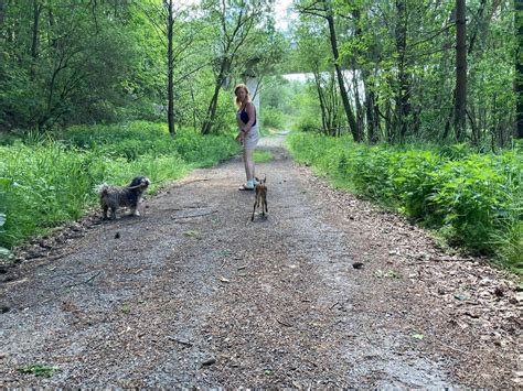 Příběh Srny Pipi Médium Cz